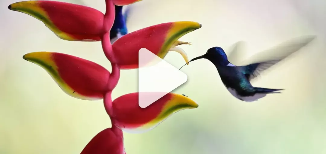 Samsung Global Goals charity app