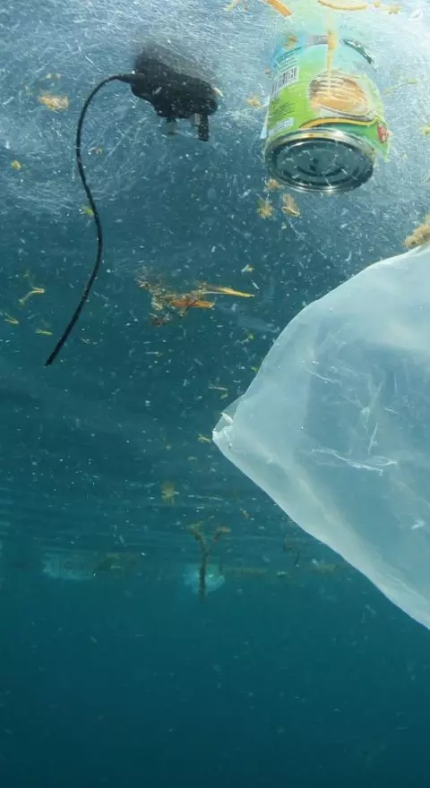 Samsung Global Goals charity app