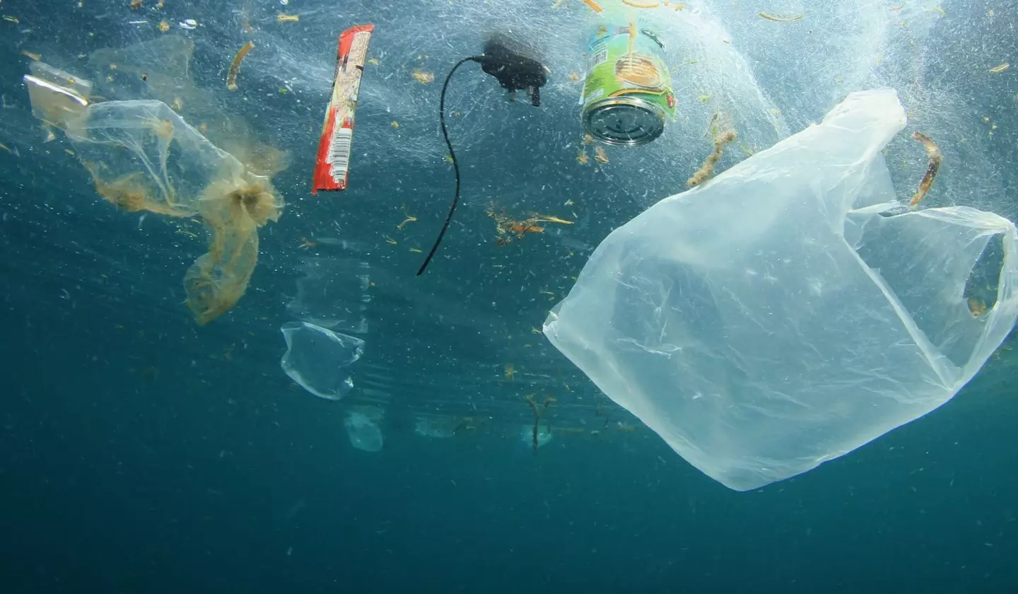 Samsung Global Goals charity app