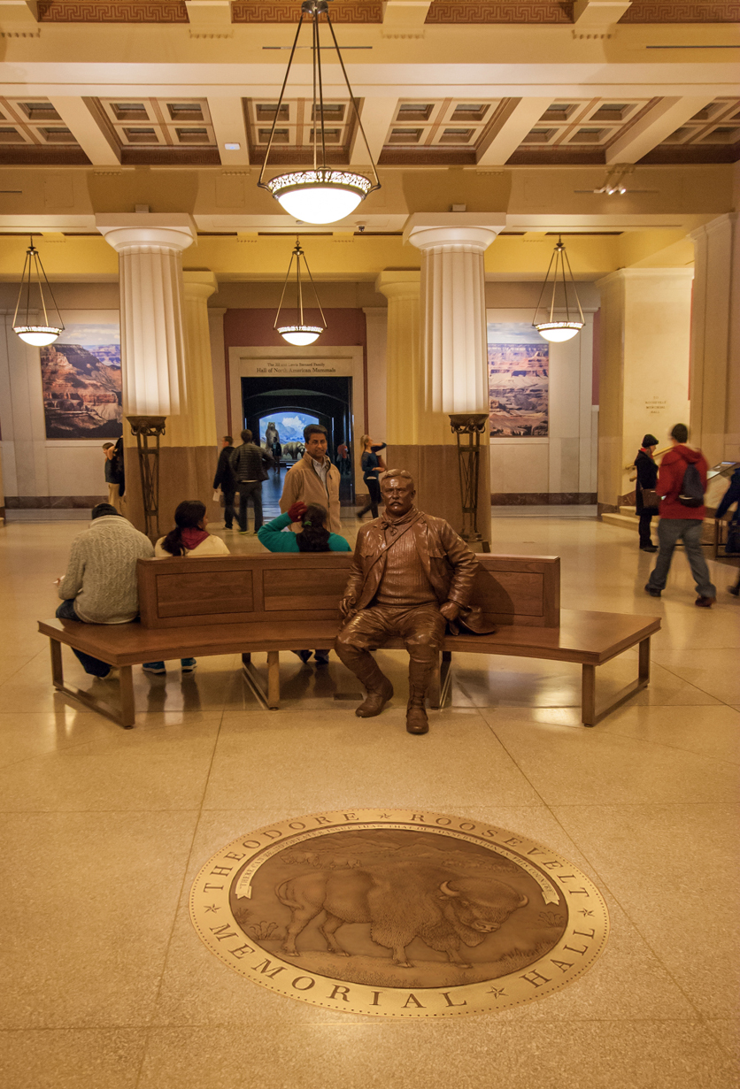 Theodore Roosevelt Memorial Medallion - CultureNow - Museum Without Walls