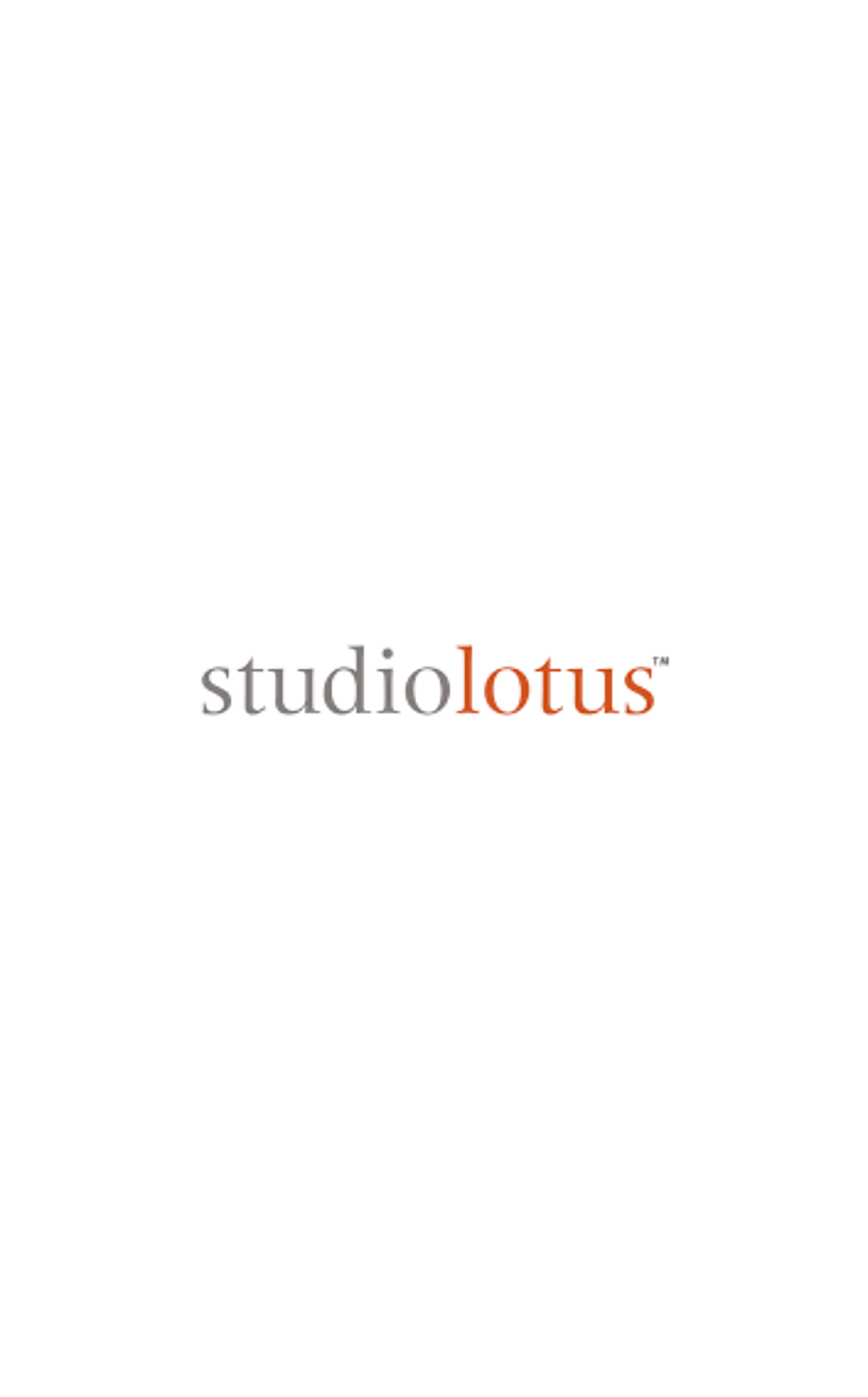 Studio Lotus - CultureNow - Museum Without Walls