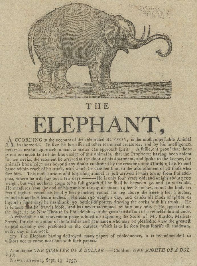 The 1st Elephant arrived in the US - CultureNow - Museum Without Walls