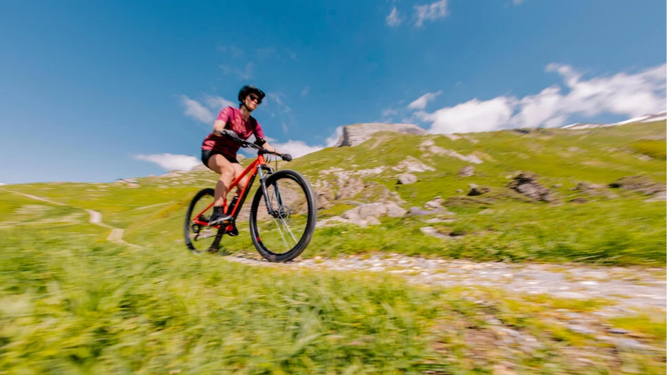 Shape the future of your electric mountain biking experience ...