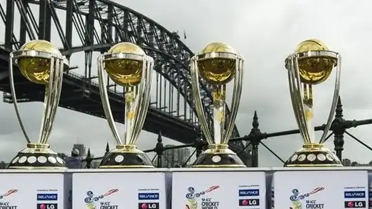 Cricket World Cup (CWC) Celebration | Decathlon Co-creation