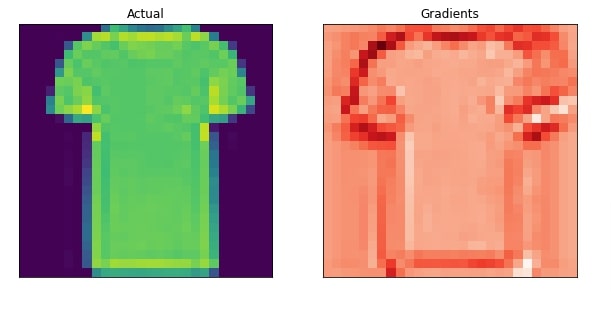 Pytorch Grad Cam 