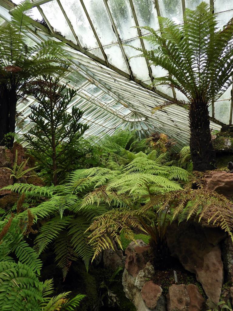 Ascog Fernery - Ayrshire and Arran