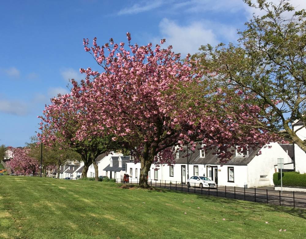 Colmonell - Ayrshire and Arran