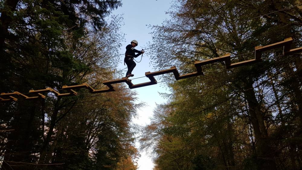 Tree Top Trials at Craufurdland Country Estate - Ayrshire and Arran