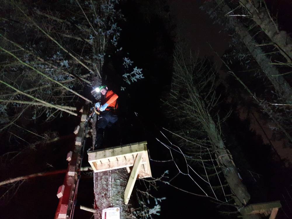 Tree Top Trials at Craufurdland Country Estate - Ayrshire and Arran
