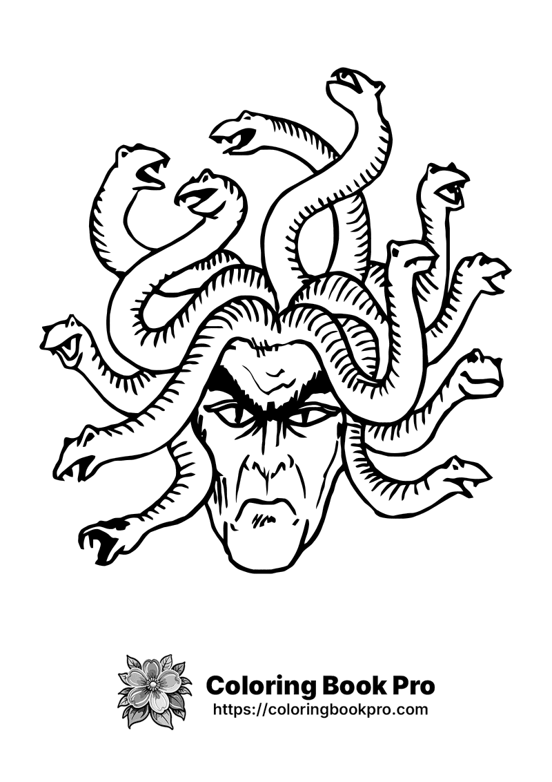 A drawing of a man's head surrounded by snakes | mythology_71 ...