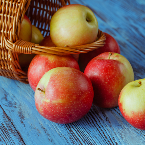 Hardware Store in Perham 56573-2100 | Marks Fleet Supply True Value