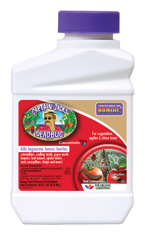 Captain Jack's Deadbug Brew Outdoor Organic Insecticide and Mite Killer ...