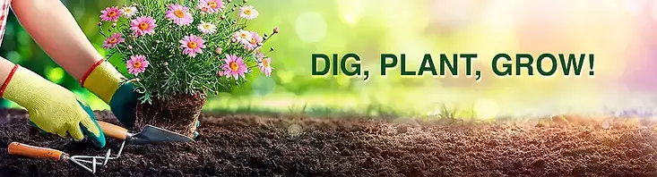 City Hardware True Value