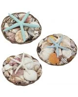 SHELL PACK BASKET 8" | Do it Best Barbados