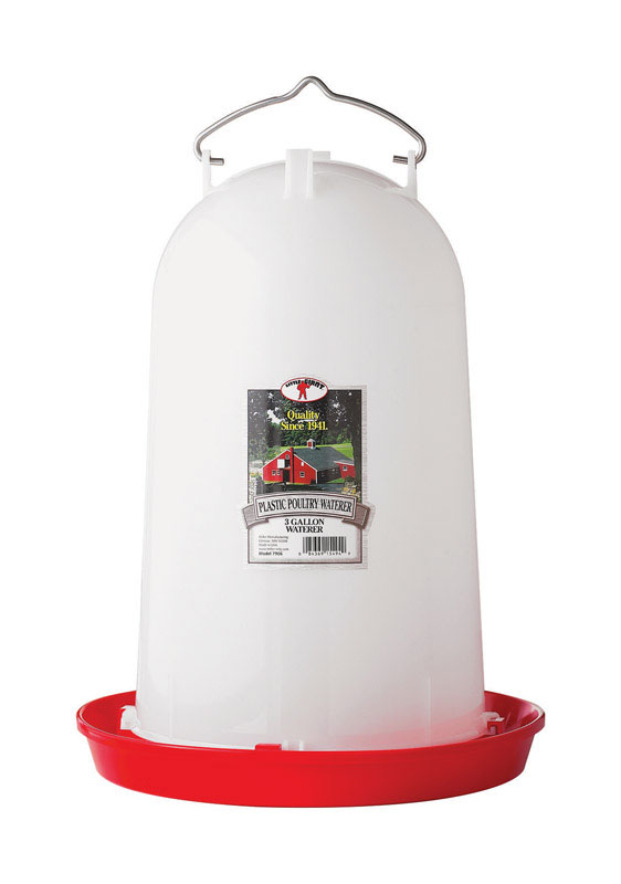 Miller Chicken Feeder