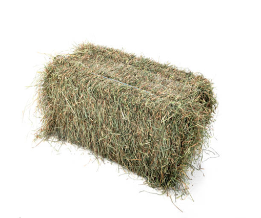 Local Grass Hay Bale | Country Store