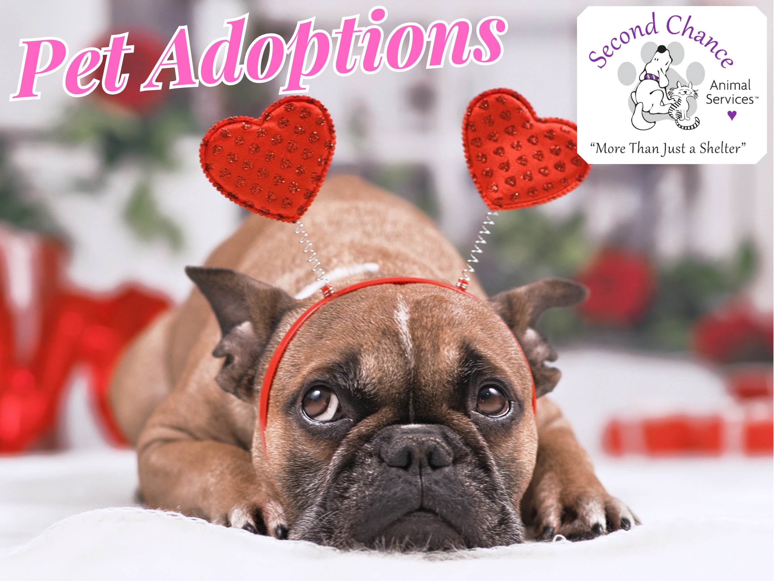 BREYER Horses Traditional Series Morganquest Native Sun Model Toy 12.25 ...