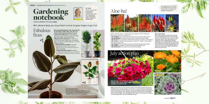 Life is a Garden will feature in the July Tuis/Home magazine! Check out ...