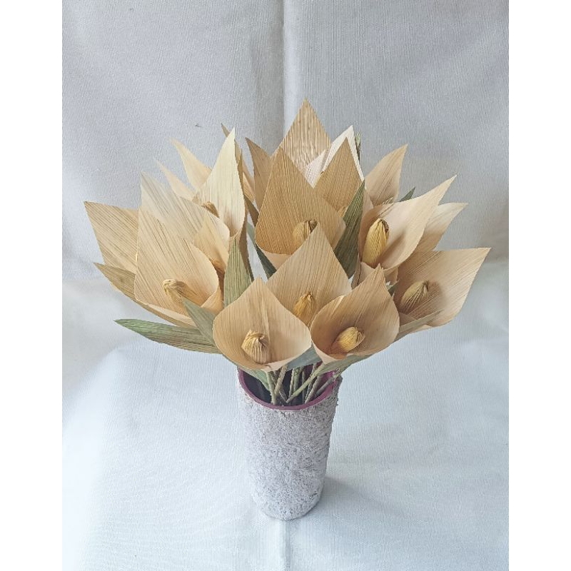 GitHub - CornLab-Bangkit/Corn-Processing-CC