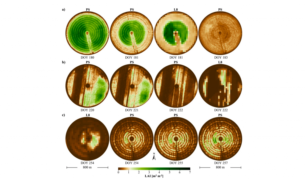 Daily, High-resolution Leaf Area Index from Sensor Fusion with Planet ... Daily, High-resolution Leaf Area Index from Sensor Fusion with Planet ...
