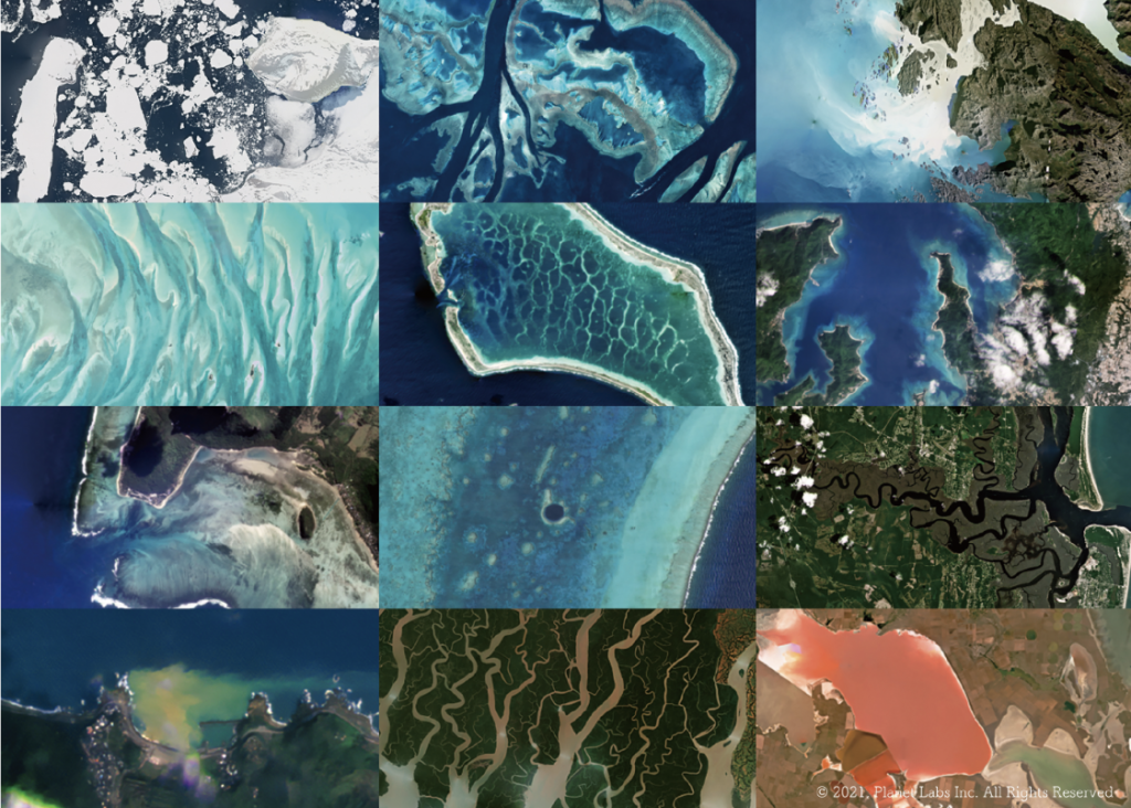 Crayons of the Seas: A Visual Exploration of Marine Biodiversity with ...