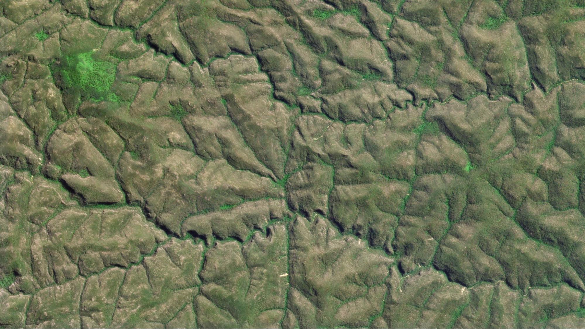 Out of the Woodlands: Innovating Satellite Data Use in Asia-Pacific ...