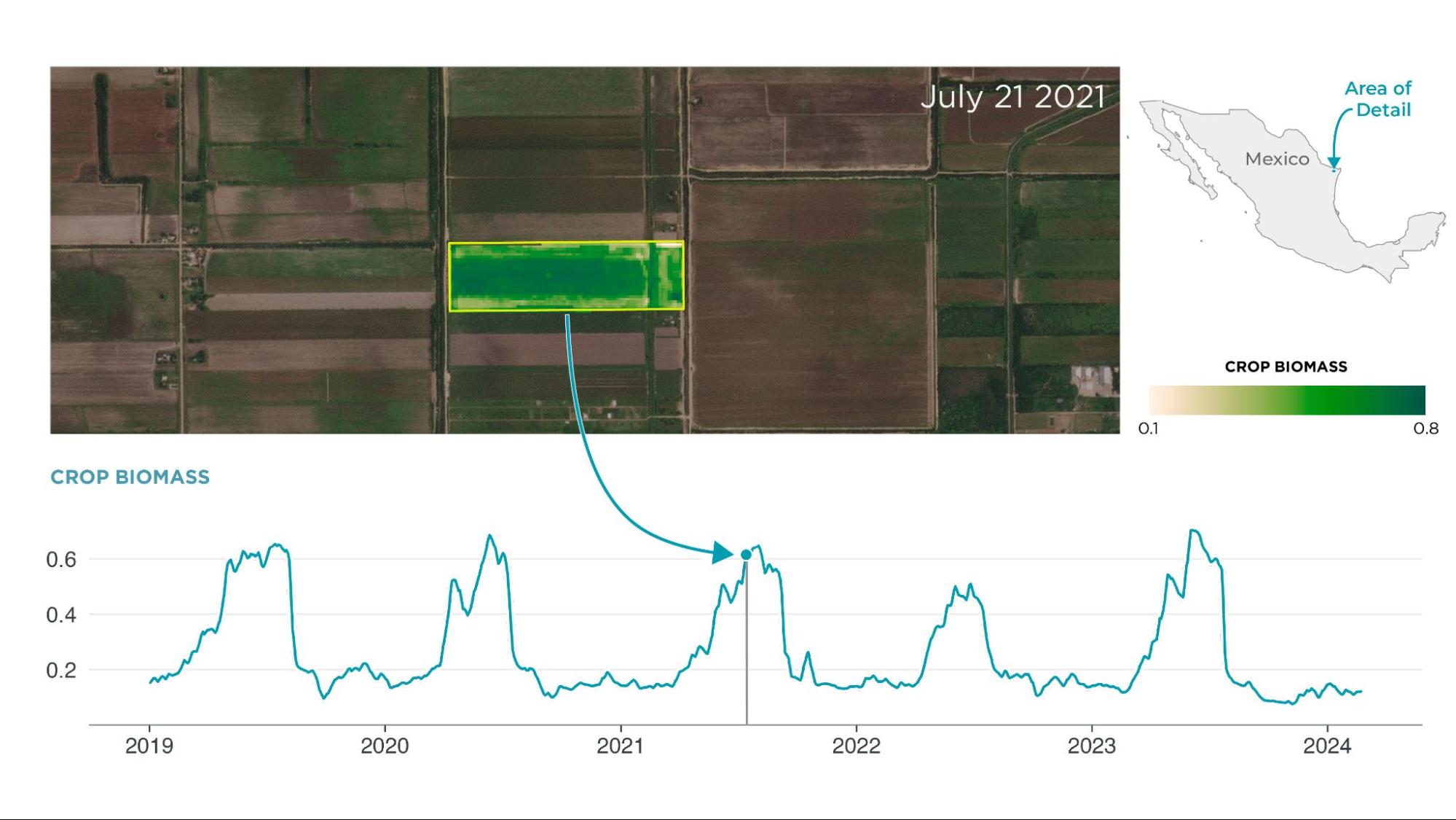 Next Generation Agriculture Monitoring at Scale With Planet’s Crop Biomass