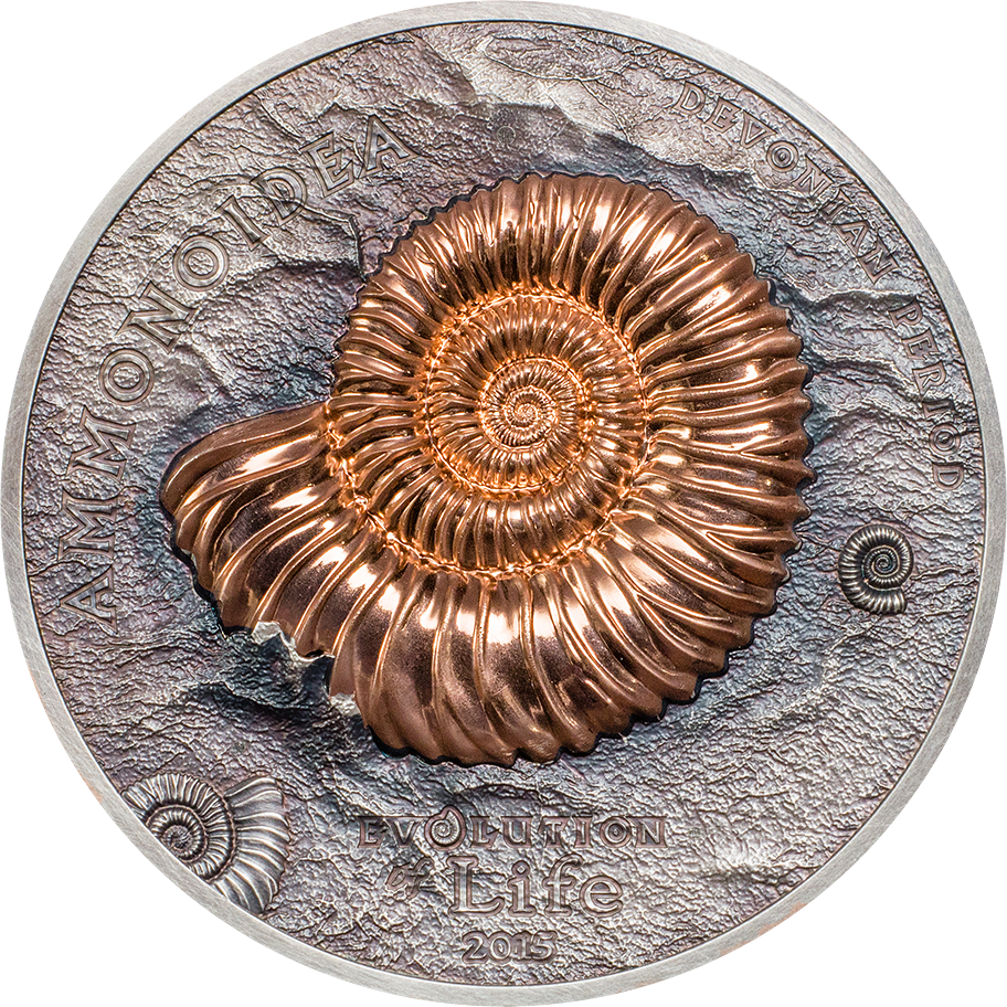 Ammonite | CIT Coin Invest