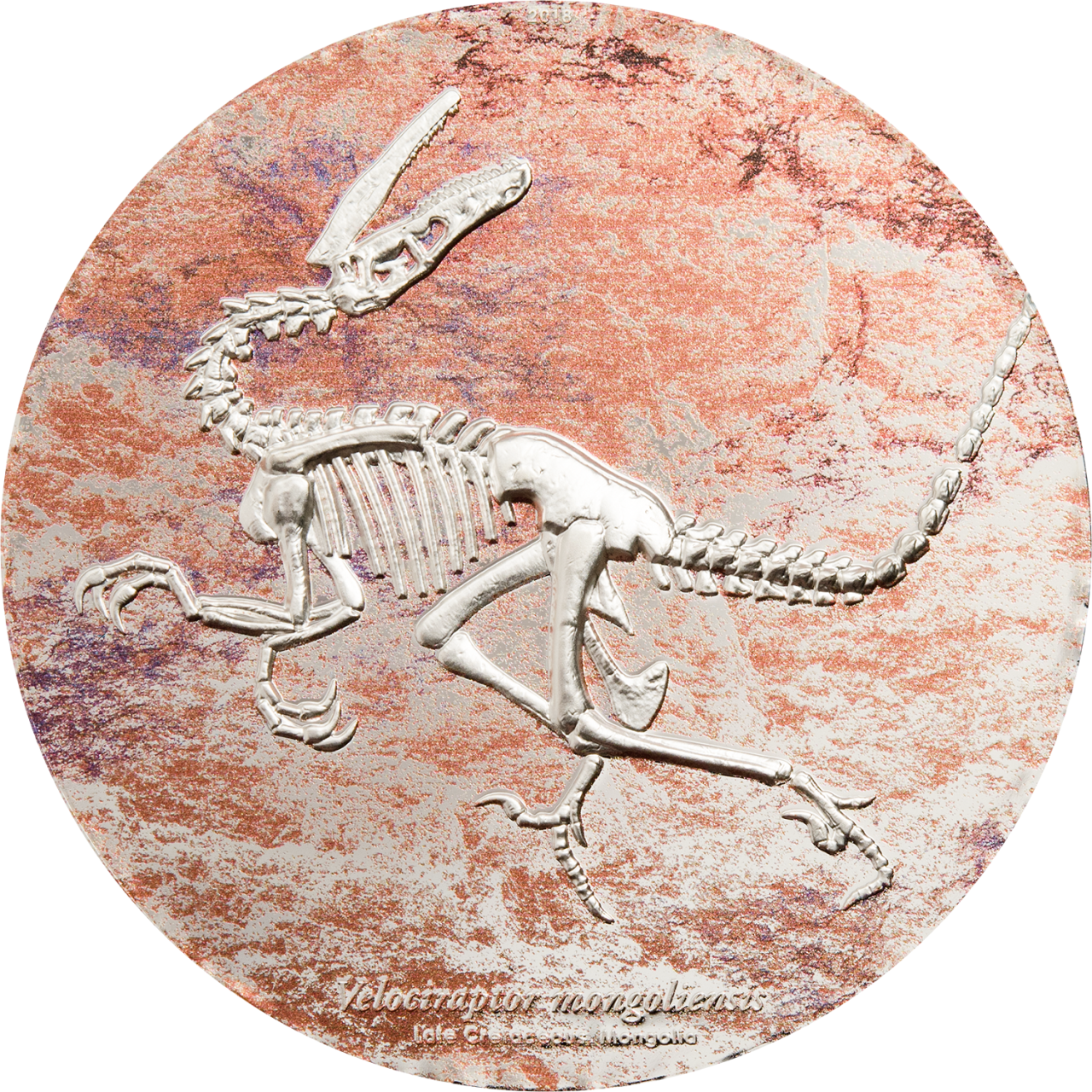 Velociraptor | CIT Coin Invest