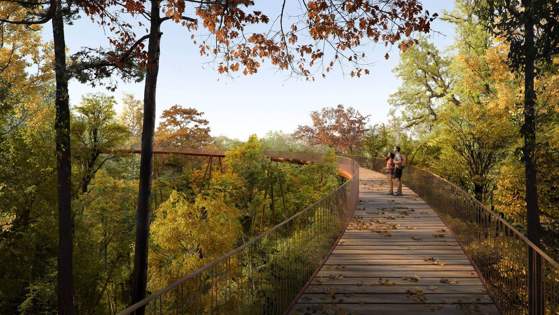 Tree Top Trail | Cosmoscube - Architectural Visualization Studio