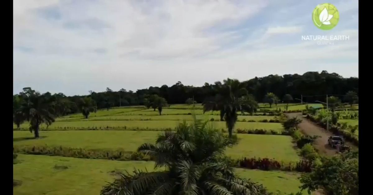 Quinta en Venta en Pocora Sur, Pocora, Guácimo, Limón | Costa Rica ...