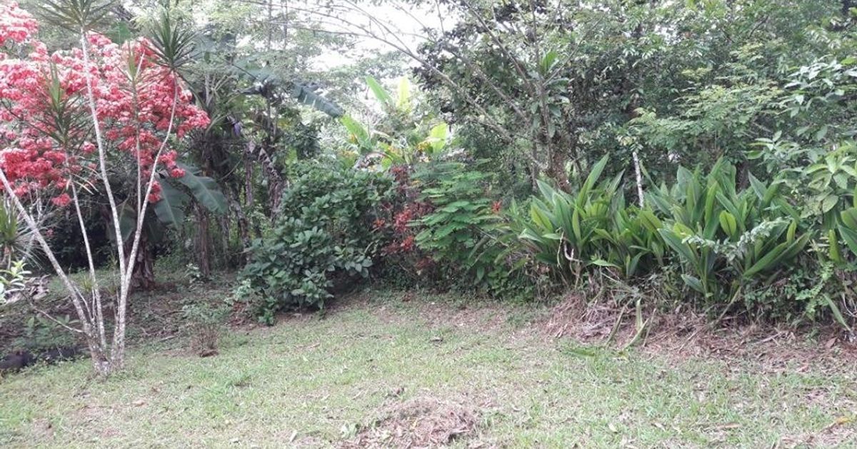 Finca en Venta en Santa Rosa, Pocosol, San Carlos, Alajuela | Costa ...