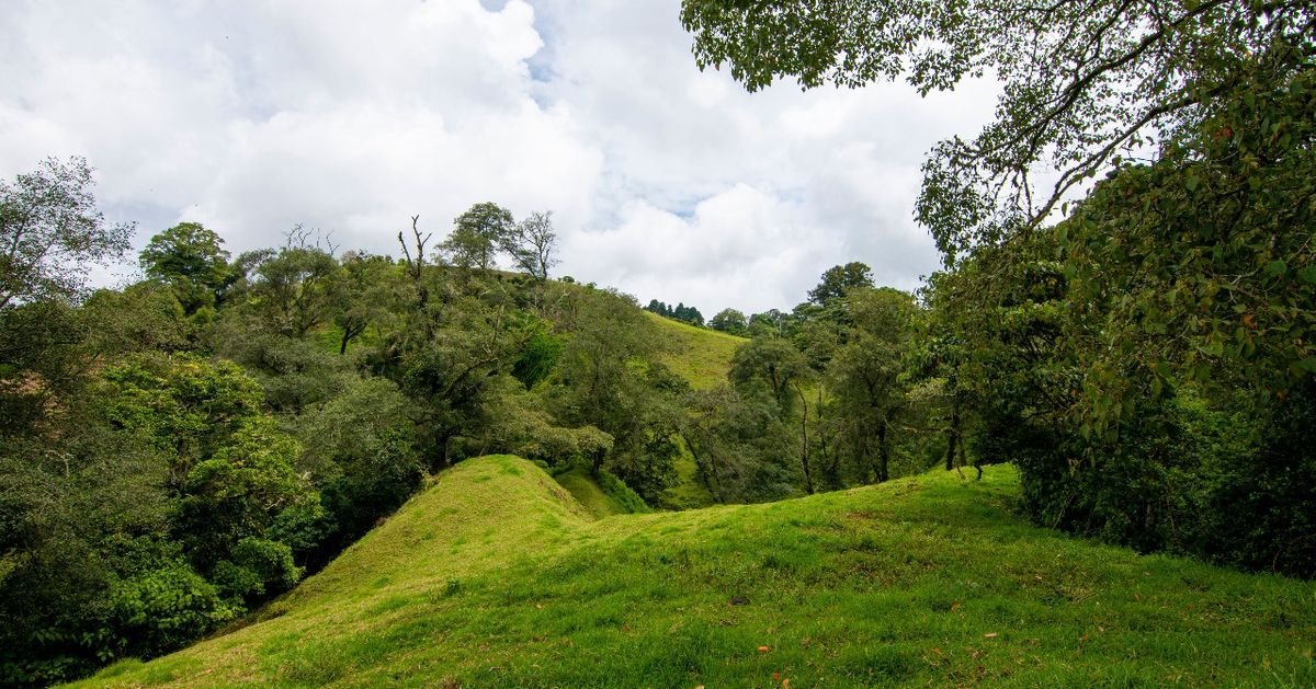 Finca en Venta en LLANO GRANDE, Llano Grande, Central, Cartago | Costa ...