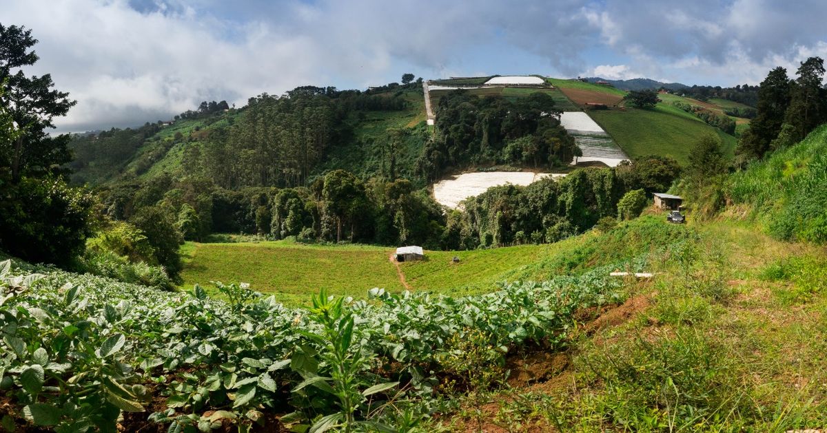 Lote residencial en Venta en Zarcero, Zarcero, Zarcero, Alajuela ...