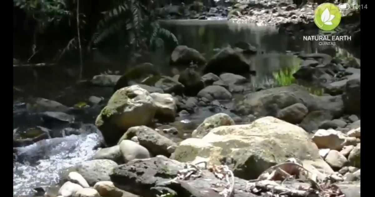 Quinta en Venta en Pocora Sur, Pocora, Guácimo, Limón | Costa Rica ...