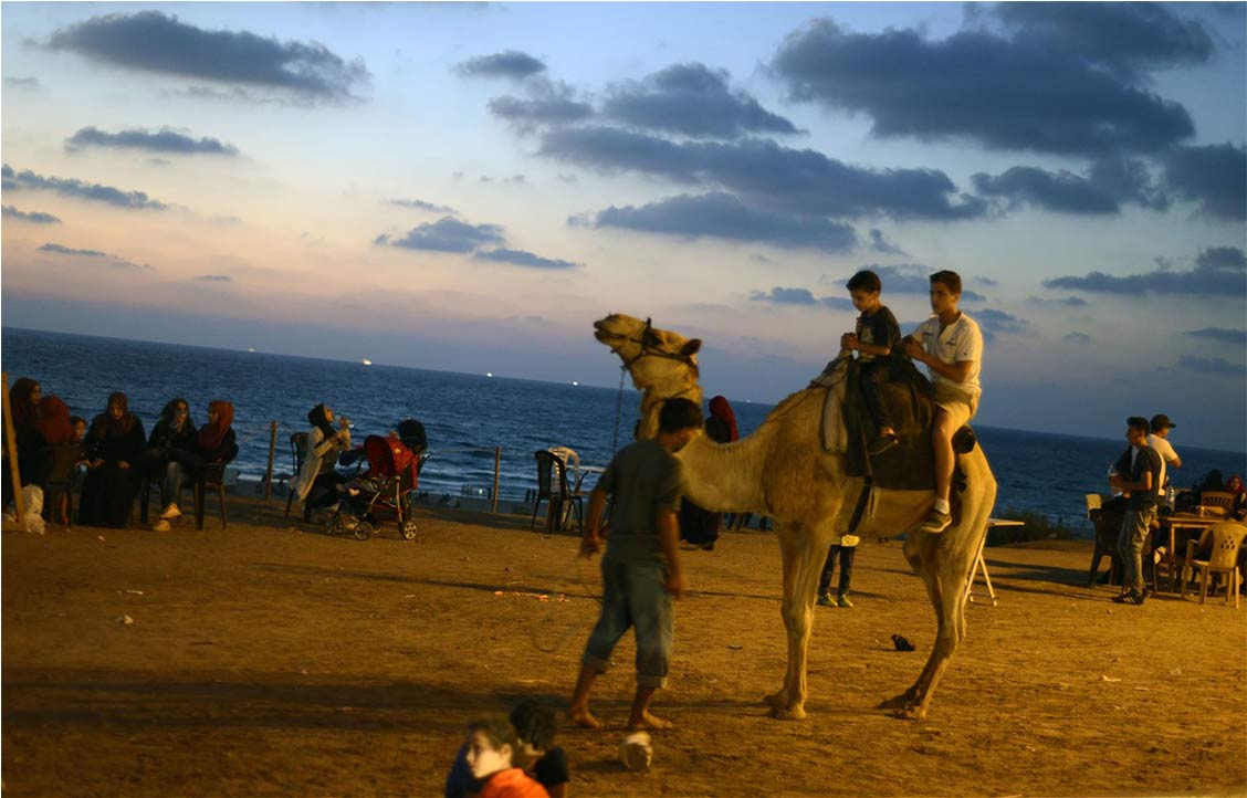 【藍色加薩】巴勒斯坦人平常在做什麼？｜Mohammed Zaanoun／【中英雙語】巴勒斯坦攝影師在加薩 ｜換日線