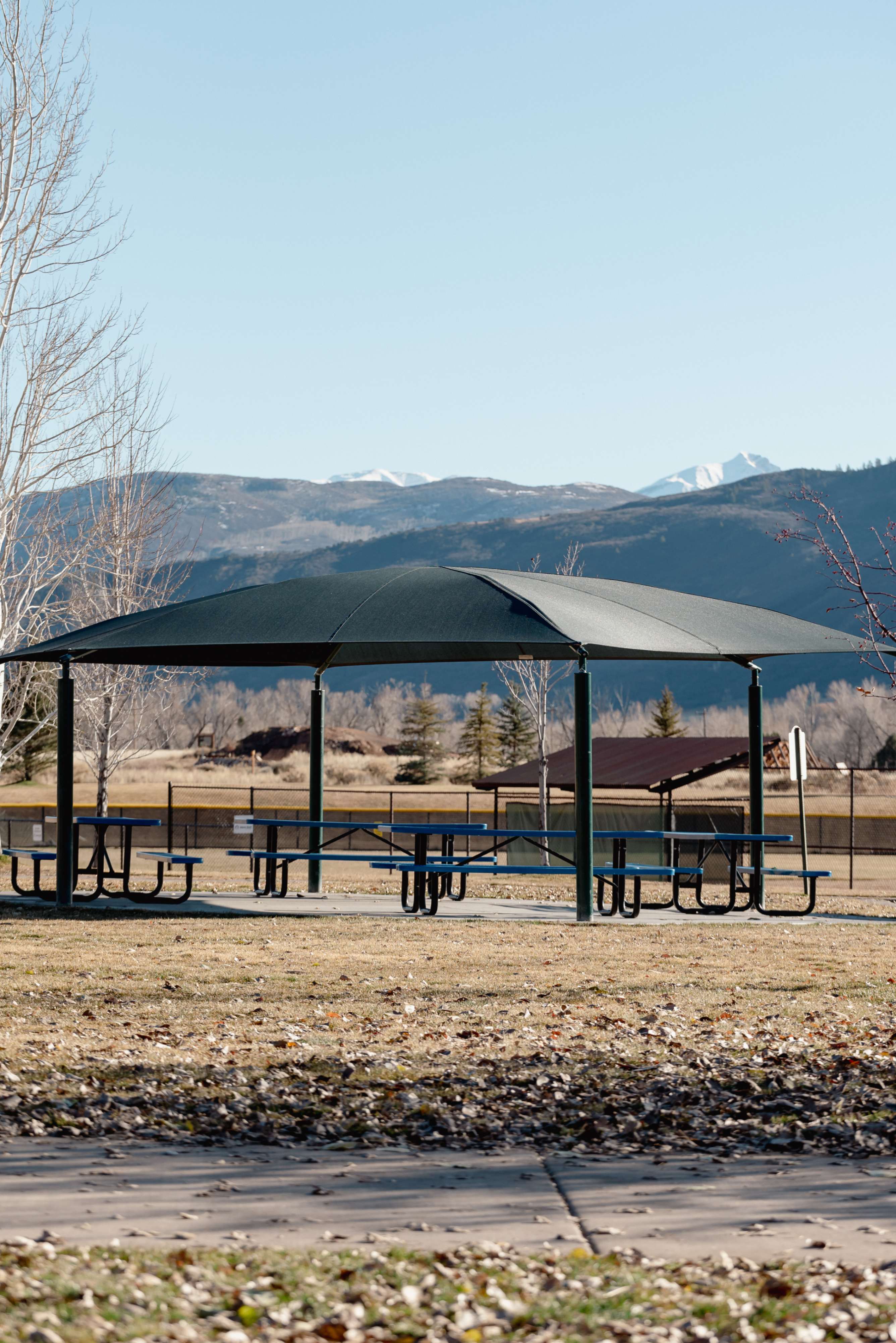 Create Account or Log In