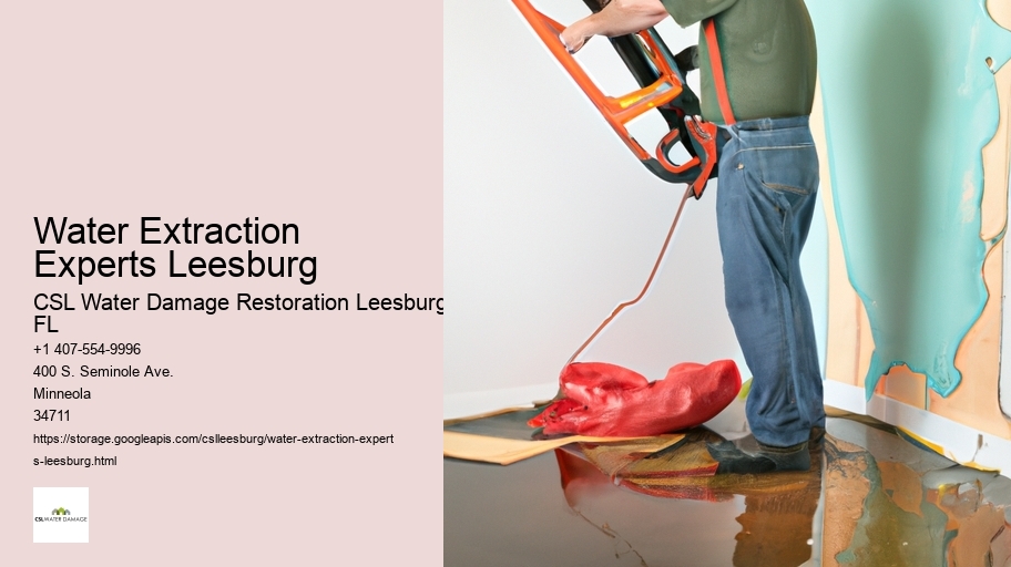 Water Extraction Experts Leesburg