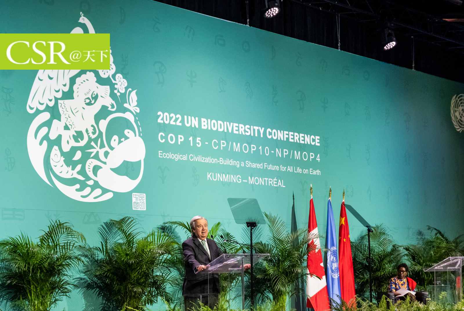 10年一次的生物多樣性公約談判登場，將決定人類與自然環境的未來 但延宕兩年的COP15？為什麽主辦國是中國卻在加拿大舉行？ - CSR@天下