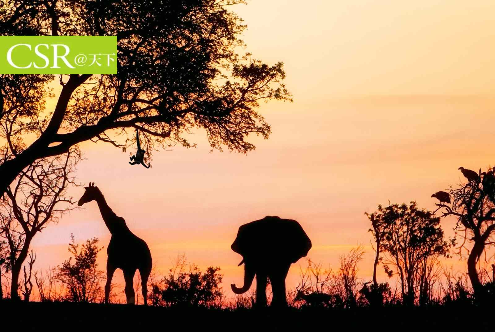 什麼是SBTN？一次搞懂生物多樣性的最新行動關鍵字【永續會研究室】 - CSR@天下