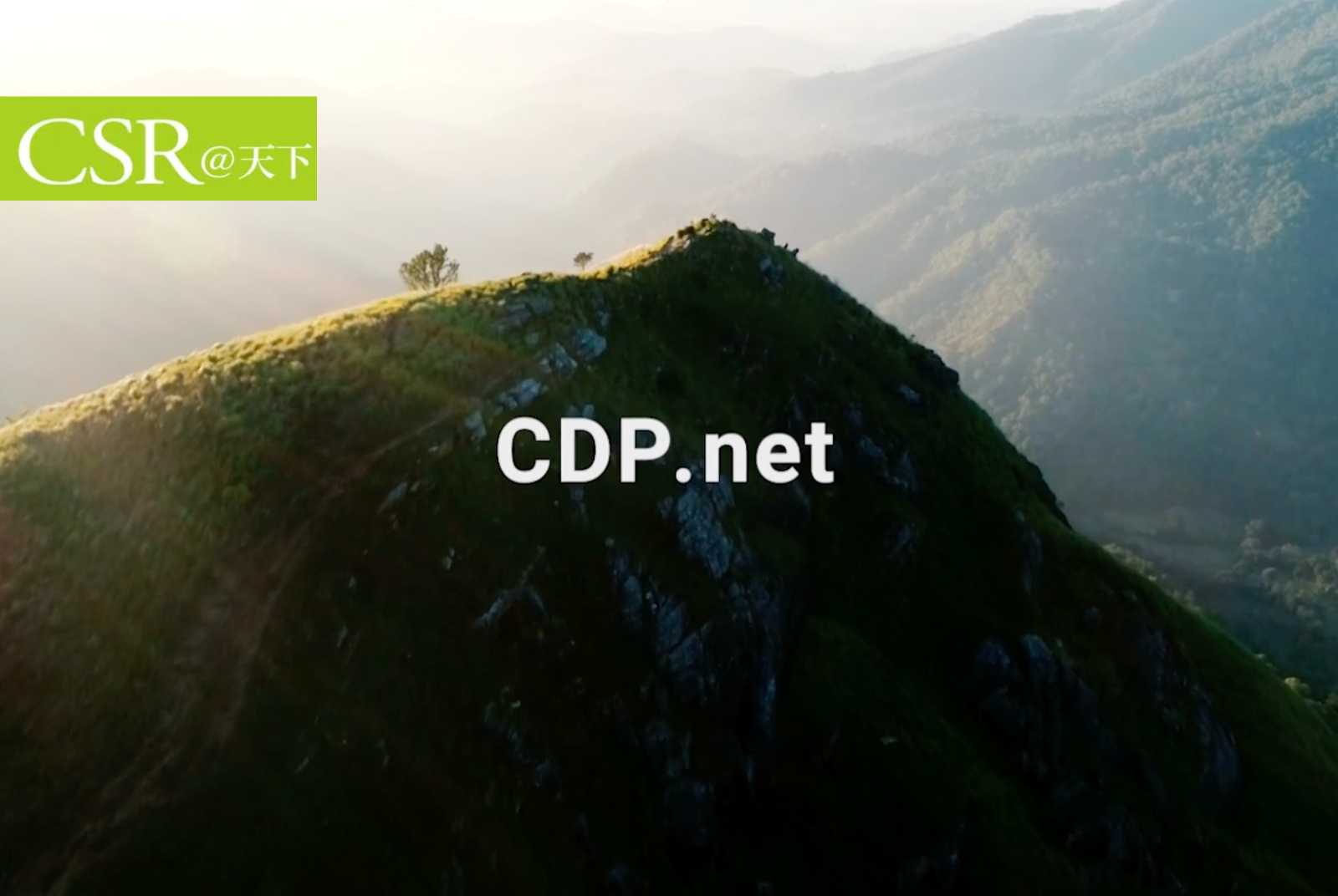 2023年CDP結果：3A企業變動，開雲取代LVMH、不動產業首度入選，台灣雙A公司增至8家 CDP點名巴菲特、馬斯克的企業未回應要求 ...