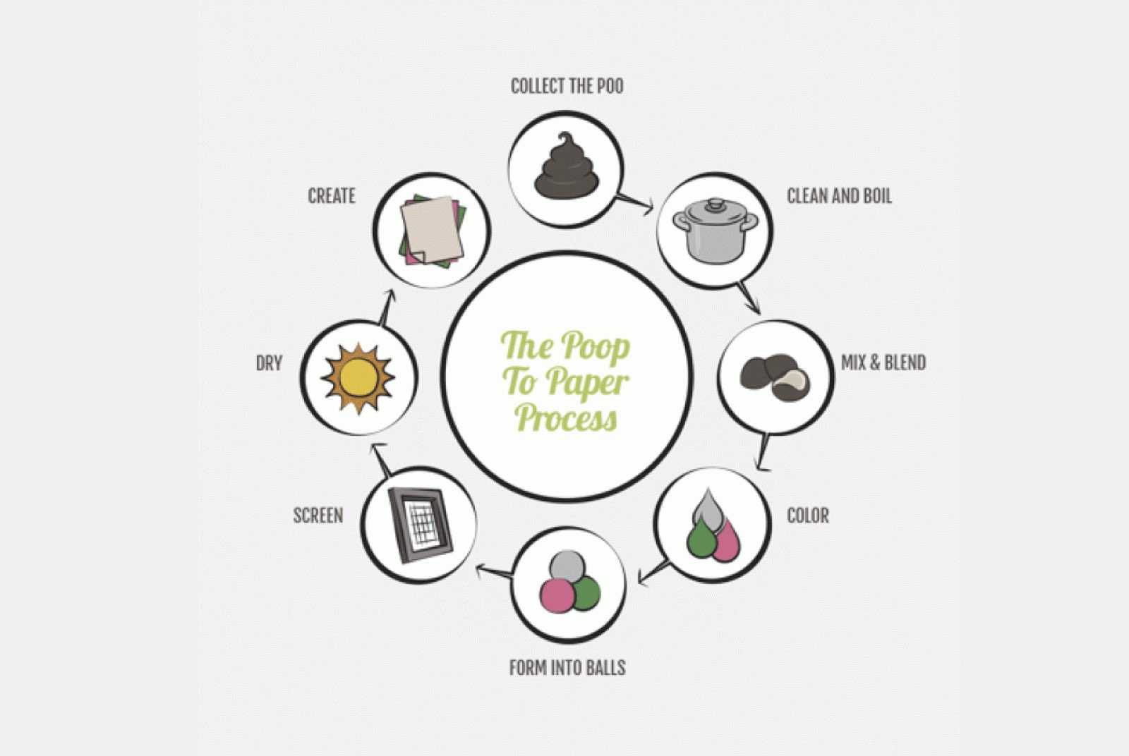 【社企流】以大象糞便造紙！泰國「PooPooPaper」製環保筆記本，銷售市場擴及歐美、東南亞 - CSR@天下