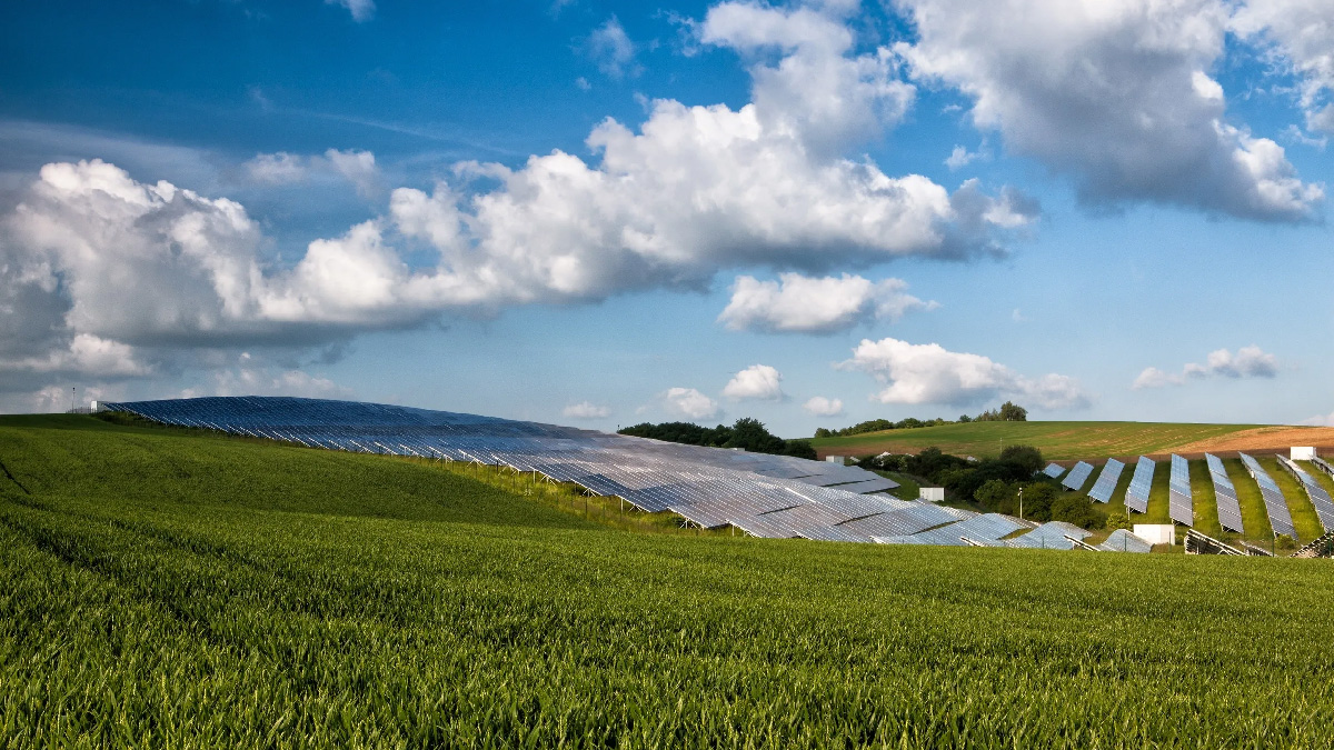 Cultivate Power • Blog & News