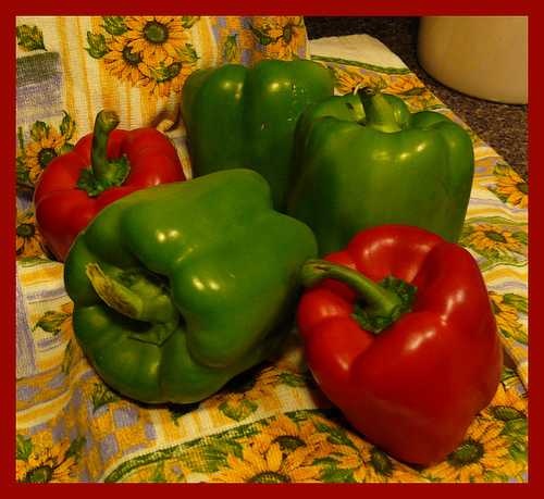 Bell pepper labeled image dataset | images.cv