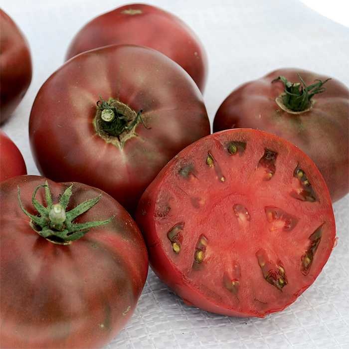 Tomato Labeled Image Dataset | images.cv