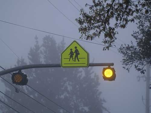 Traffic light Labeled Image Dataset | images.cv