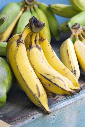 Banana Labeled Image Dataset | images.cv