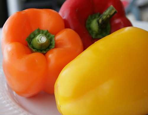 Bell pepper labeled image dataset | images.cv