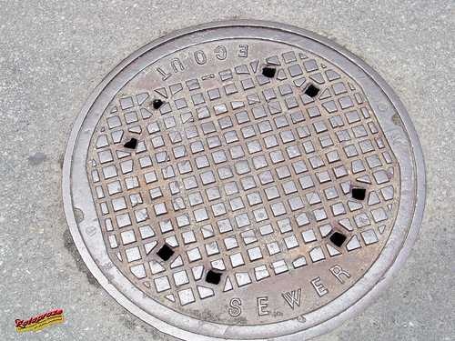 Manhole cover Labeled Image Dataset | images.cv