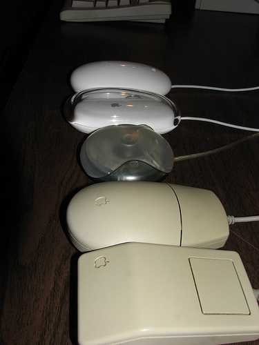 Mouse Labeled Image Dataset | images.cv